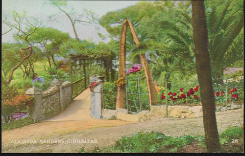 Gibraltar - Alameda Gardens -postcard by Gerard Francis Corso, SPQR ...