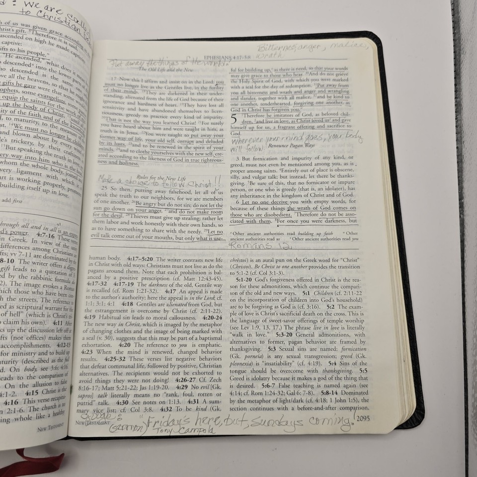 The New Interpreter's Study Bible NRSV w/ Apocrypha Genuine Leather ...