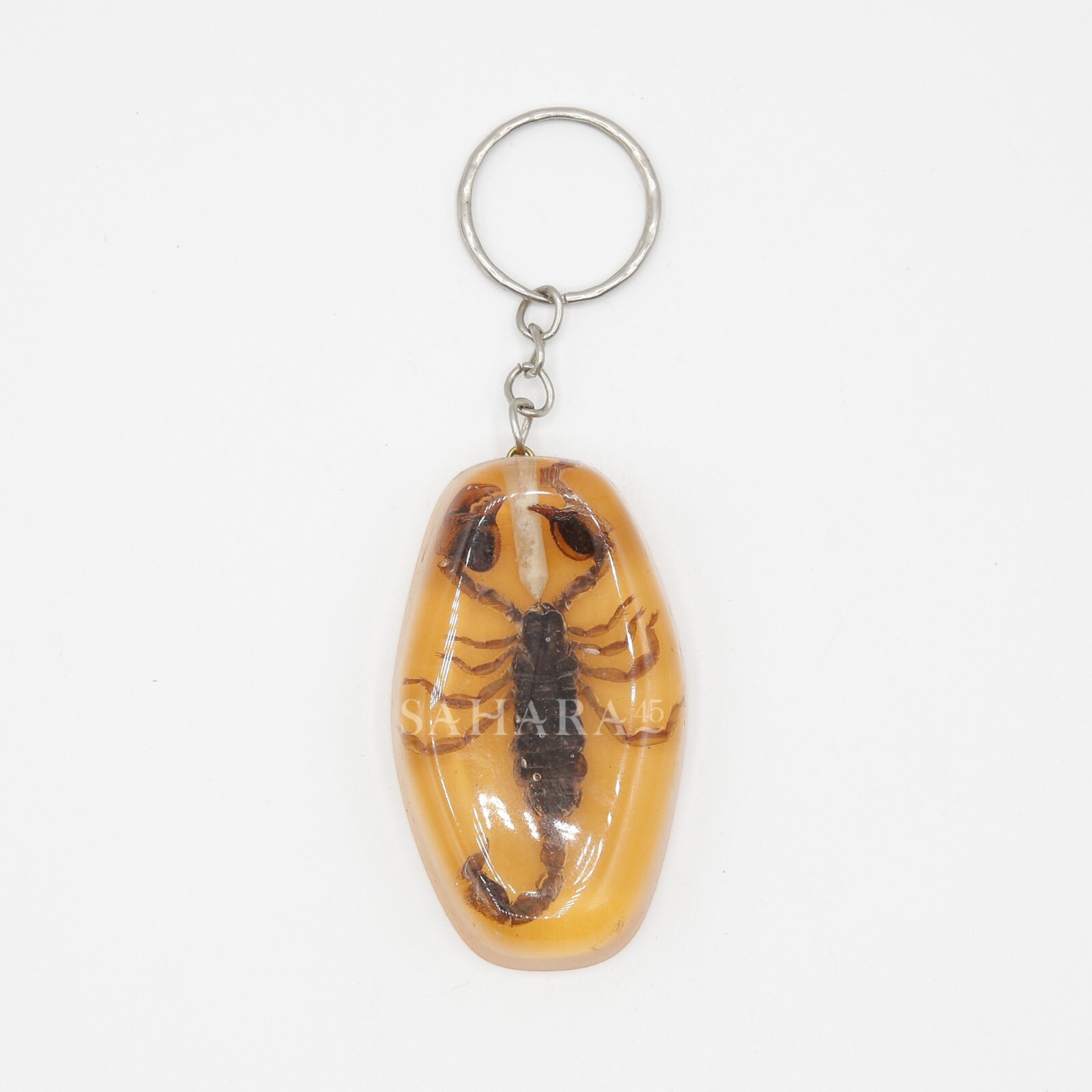 Scorpion Keychain, Real Insect, Scorpion Resin Keychain | eBay