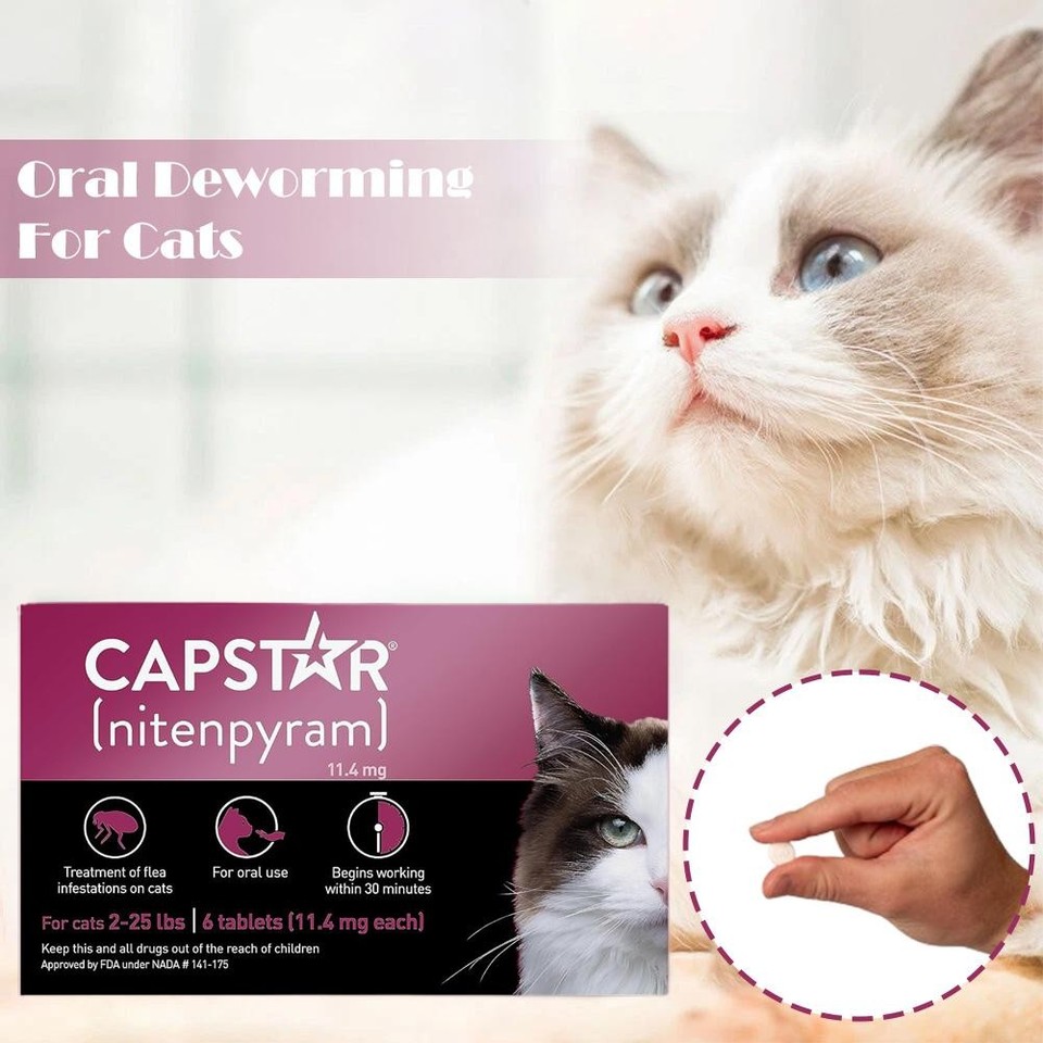 Capstar Nitenpyram 11.4mg 6 Tablets For Cats 2-25 LBS 2027 | eBay