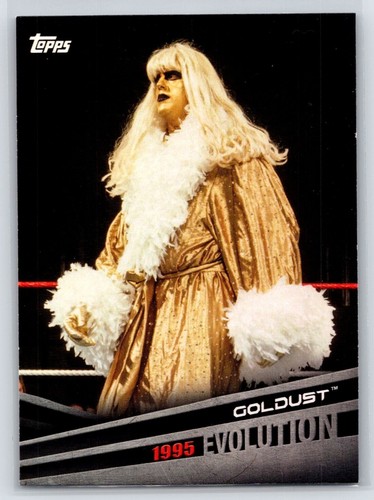 2018 Topps WWE Evolution #E-17 Goldust Wrestling Card | eBay