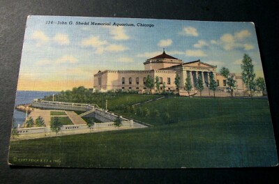 Old Postcards John G. Shedd Memorial Aquarium, Chicago PW3 | eBay