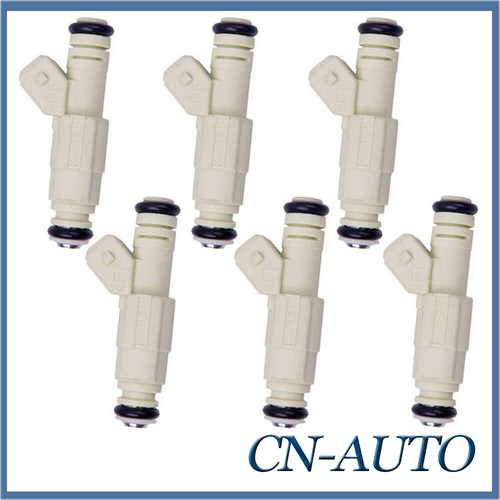 6Pcs Fuel Injectors For Holden Commodore VS VT VX VY Statesman VS VT WH ...