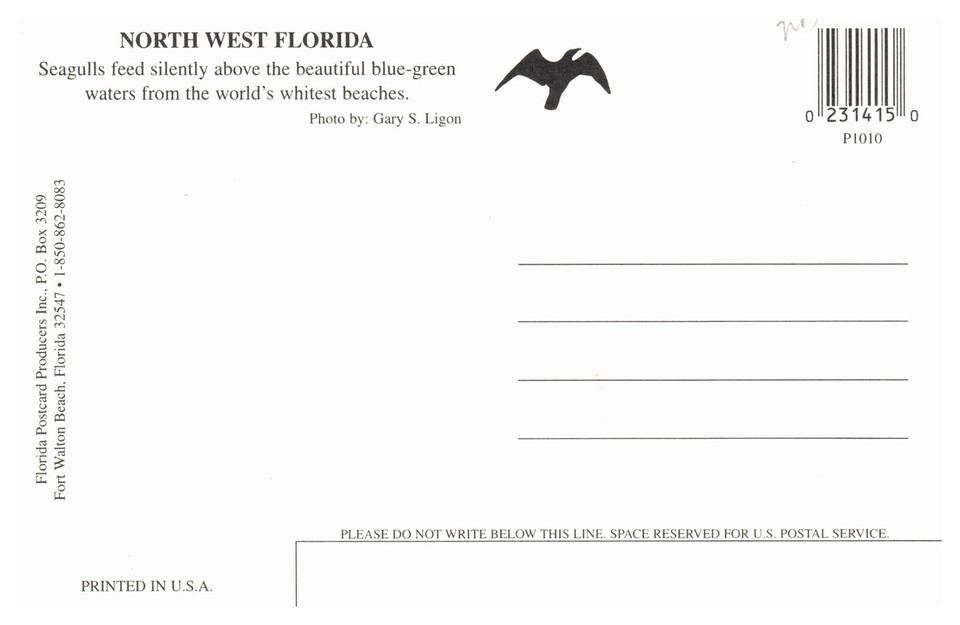 North West Florida Seagulls Beaches FL Ocean Gary Ligon Chrome UNP ...