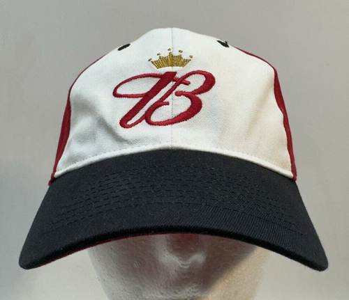 DALE EARNHARDT JR Baseball Cap HAT Budweiser Beer NASCAR #8 NuFit Chase ...