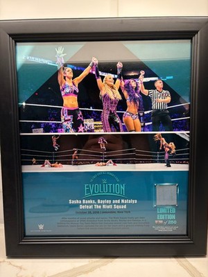 WWE Evolution Framed Collage w/ Piece Of Ring Canvas 14x17 - Sasha ...