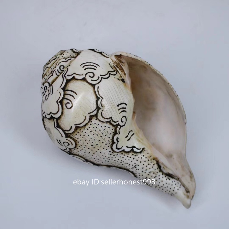 Tibet Buddhism conch shell Ganesh Ganesha Buddha mantra horn ritual ...