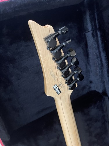 Ibanez Rg550 20th Anniversary 2007 Electric Guitar | eBay