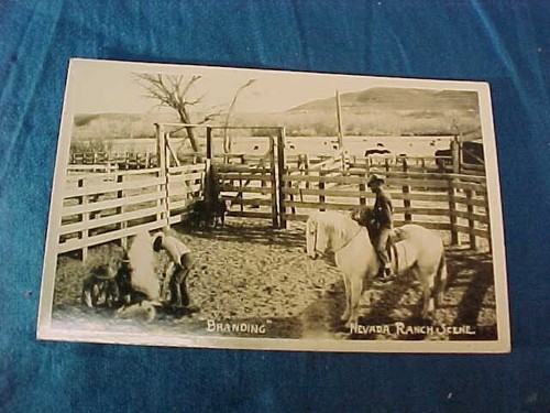 1920s COWBOYS BRANDING CATTLE Ranch Scene NEVADA REAL PHOTO POSTCARD | eBay