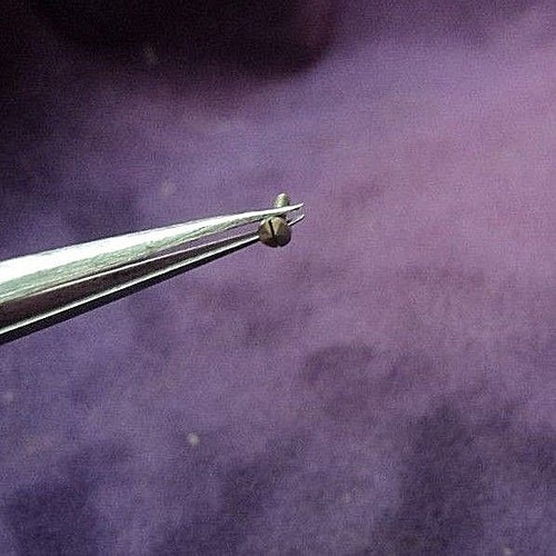 New ~Longines Caliber 30CH Chronograph Case Screw 4.4mm Long -2.2mm ...