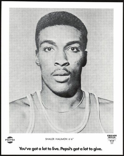 1969-70 Pepsi Cola CHICAGO BULLS (8" x 10") -SHALER HALIMON | eBay
