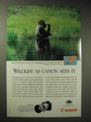 1999 Canon EOS-1N Camera Ad - Western Lowland Gorilla | eBay