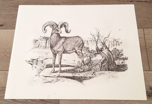 Artist Clark Ostergaard Signed Autographed Print Standing Ram A/P ...