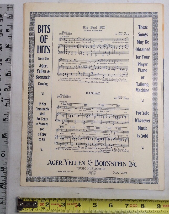 I Wonder Whats Become Of Sally 1924 Milton Ager Jack Yellen ...