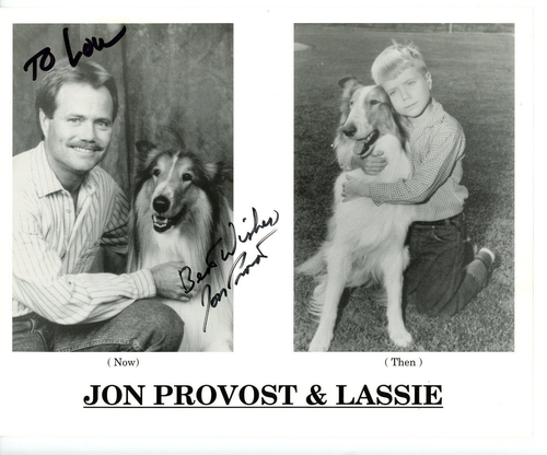 Autographed 8x10 Photo Actor Jon Provost Timmy on Lassie TV Series | eBay