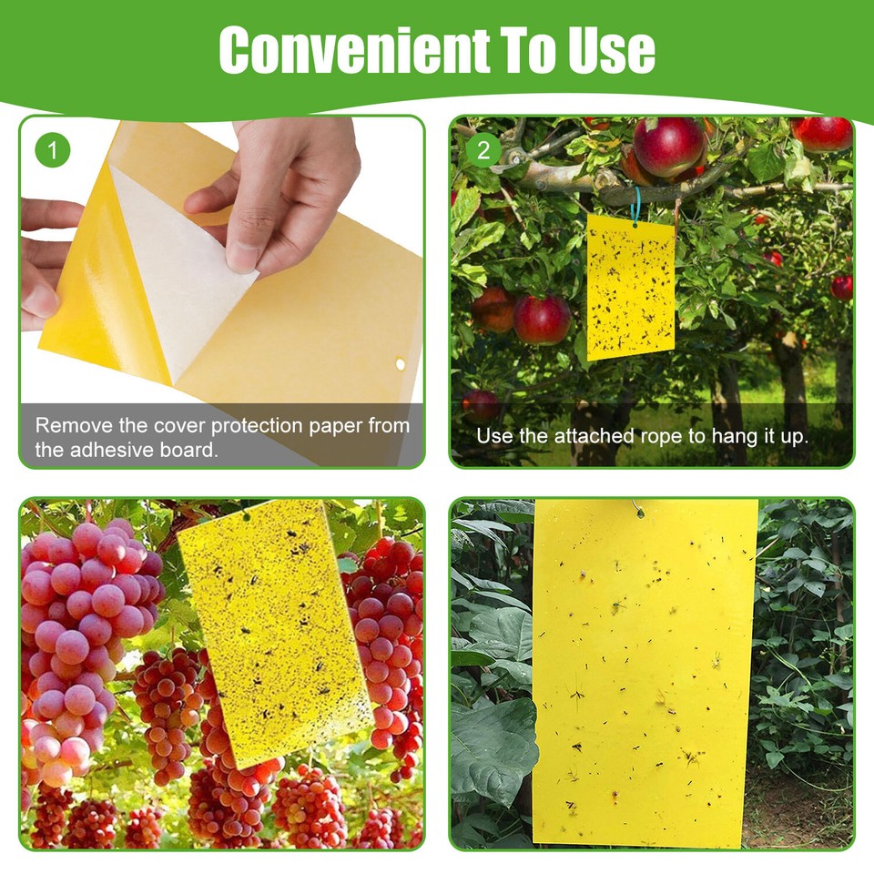 Sticky Fly Glue Trap Yellow Paper Trap Fruit Flies Insect Mosquitoes ...