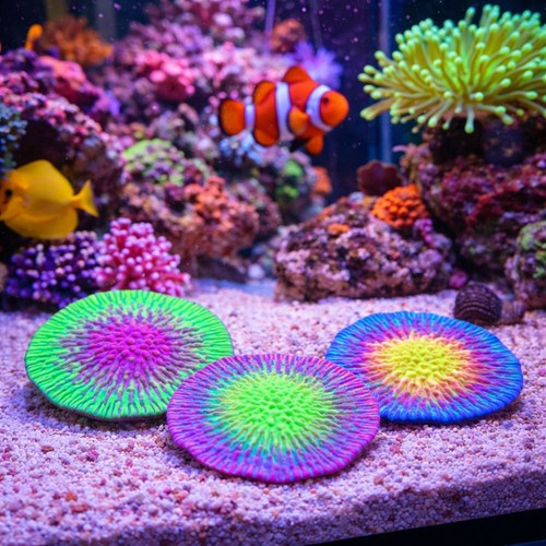 Realistic Silicone Coral Plant Colorful Simulation Coral Home Ornaments ...