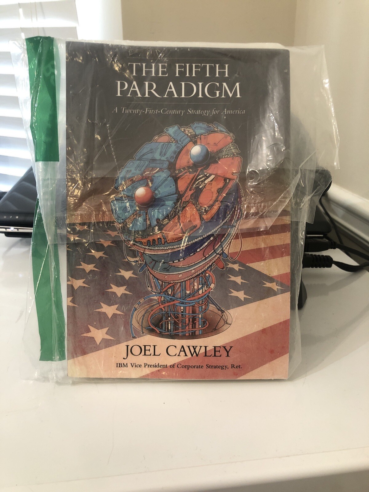 The Fifth Paradigm: A 21st Century Strategy for America (Paperback or ...