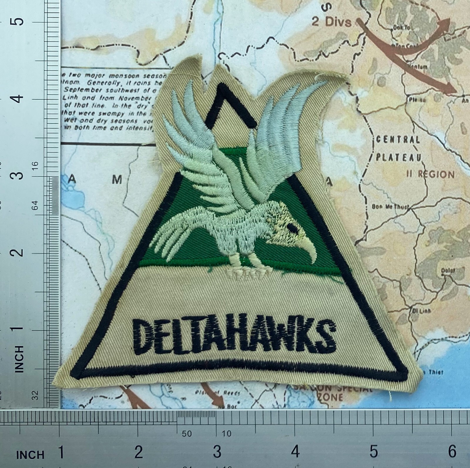 Patch , 244th Aviation Company Aerial Surveillance DELTA HAWKS Patch ...