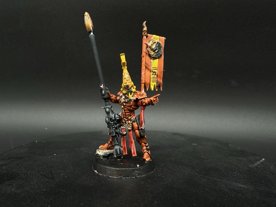 Warhammer 40k Eldar Fuegan + 10 Fire Dragons Aeldari Made To Order Pro ...