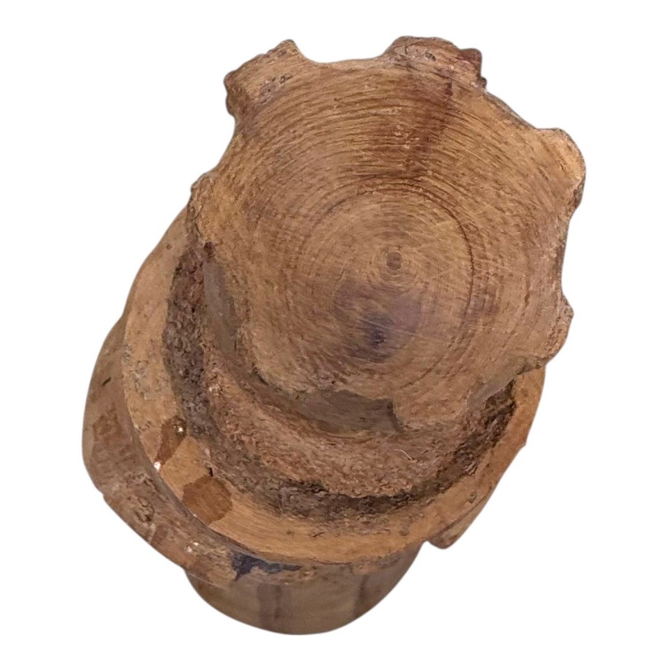 Extraordinary Michael Salazar New Mexico Artist Wood Carving Santos ...