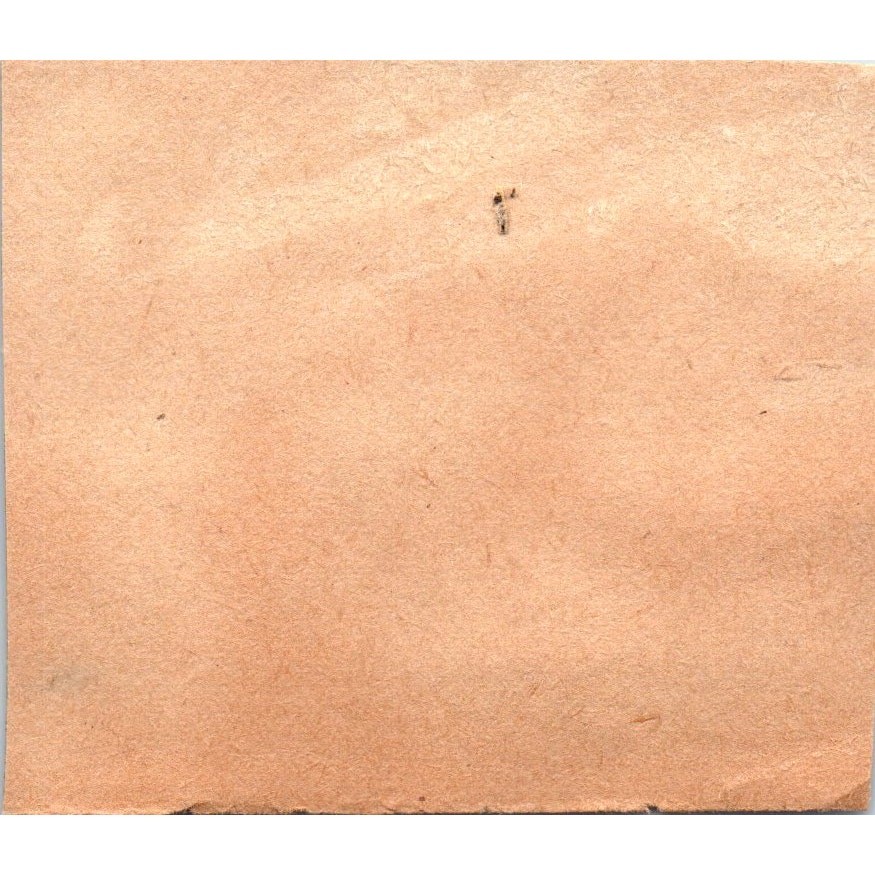 1940s Clipped Cartoon - Polar Bears Fact Illustration SF2 | eBay