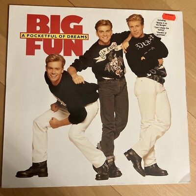 Big Fun A Pocketful of Dreams Vinyl JIVE Record Album HYPE STICKER NEW ...