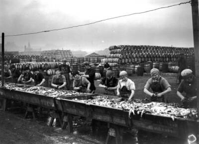 Lowestoft England 1921 Women At Work On A Catch Of Herring Old Photo | eBay
