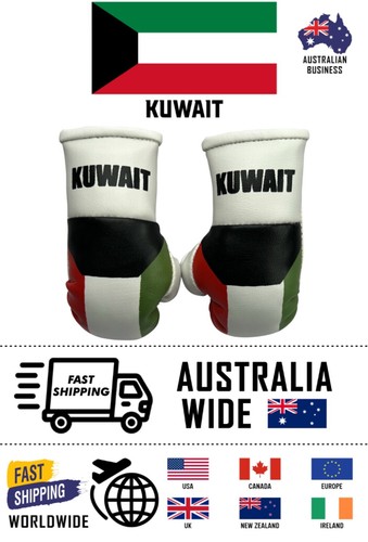 KUWAIT / KUWAITI Flag Mini Gloves Ornament / Souvenir / Decoration ...