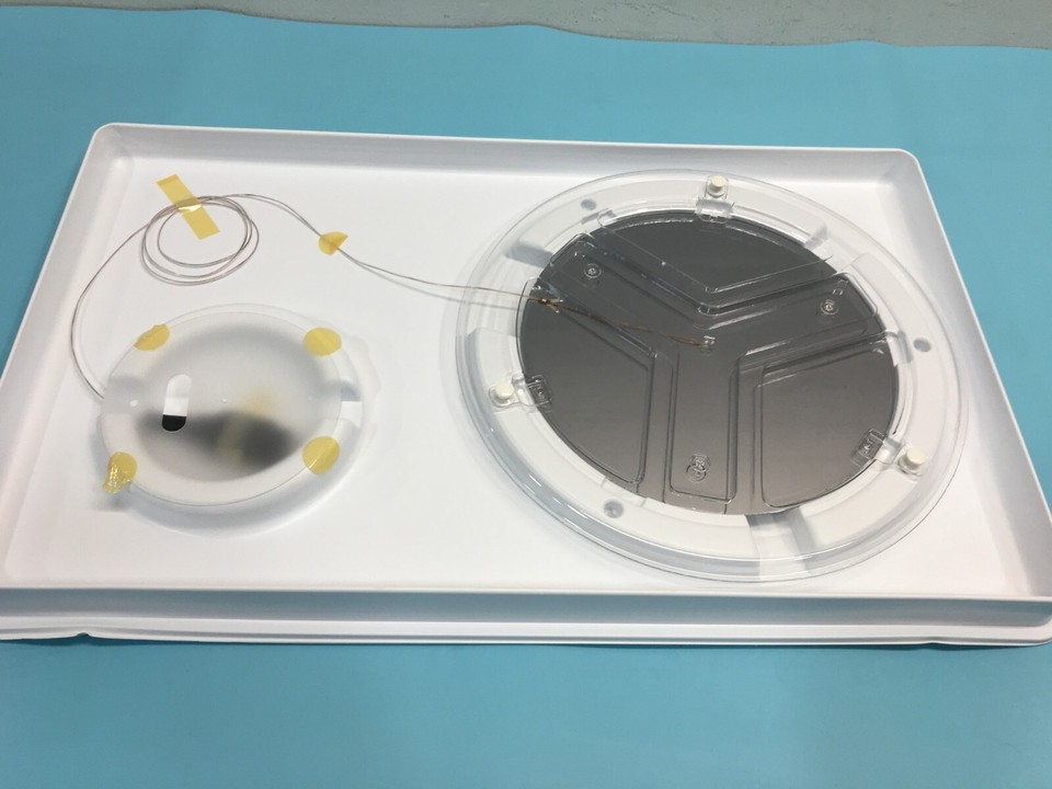 SensArray Process Probe Wafer, 8" 200mm RTD 1819A-8-1004, 115702 | eBay