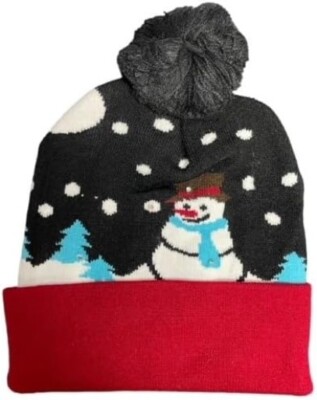 Gloworks LED Winter Wonderland HAT !! LIGHTS UP !! | eBay