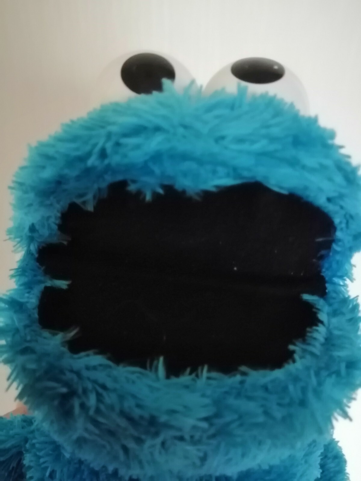 Sesame Street Squeeze a Song Singing Cookie Monster 2010 Hasbro for ...