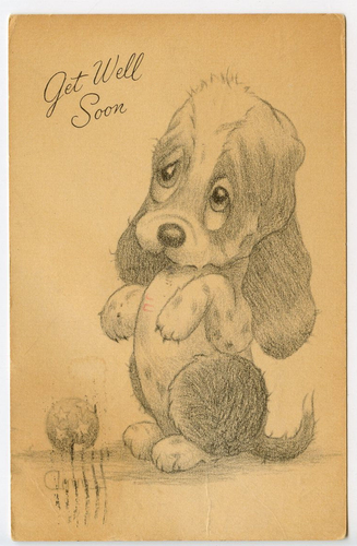 Get Well Soon Sad Puppy Dog Begging Postcard ANN ADAMS Drawing Polio ...