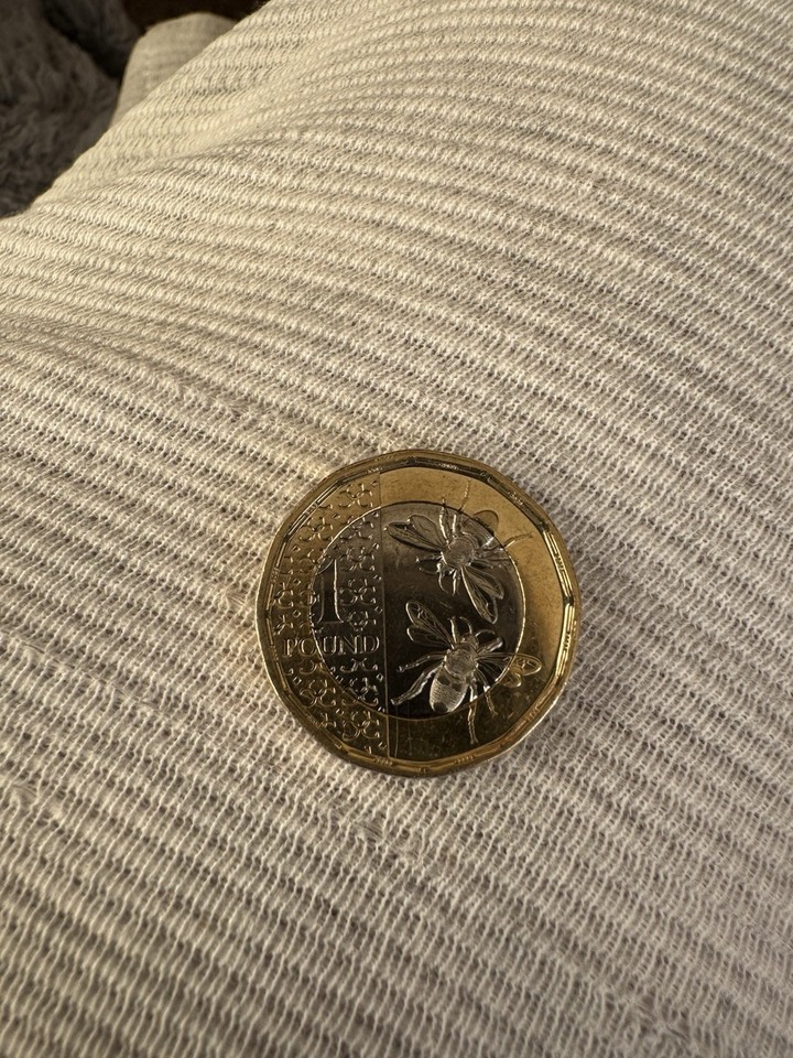 King Charles III Bees £1 coin 2025 One Pound Extremely Rare | eBay UK