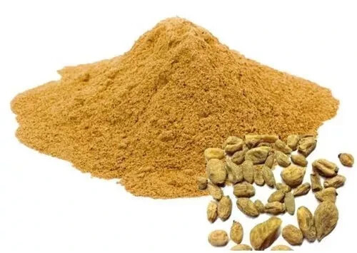 Salab Misri Powder Salep Orchid Orchis Mascul Salam Mishri Ayurveda Med ...