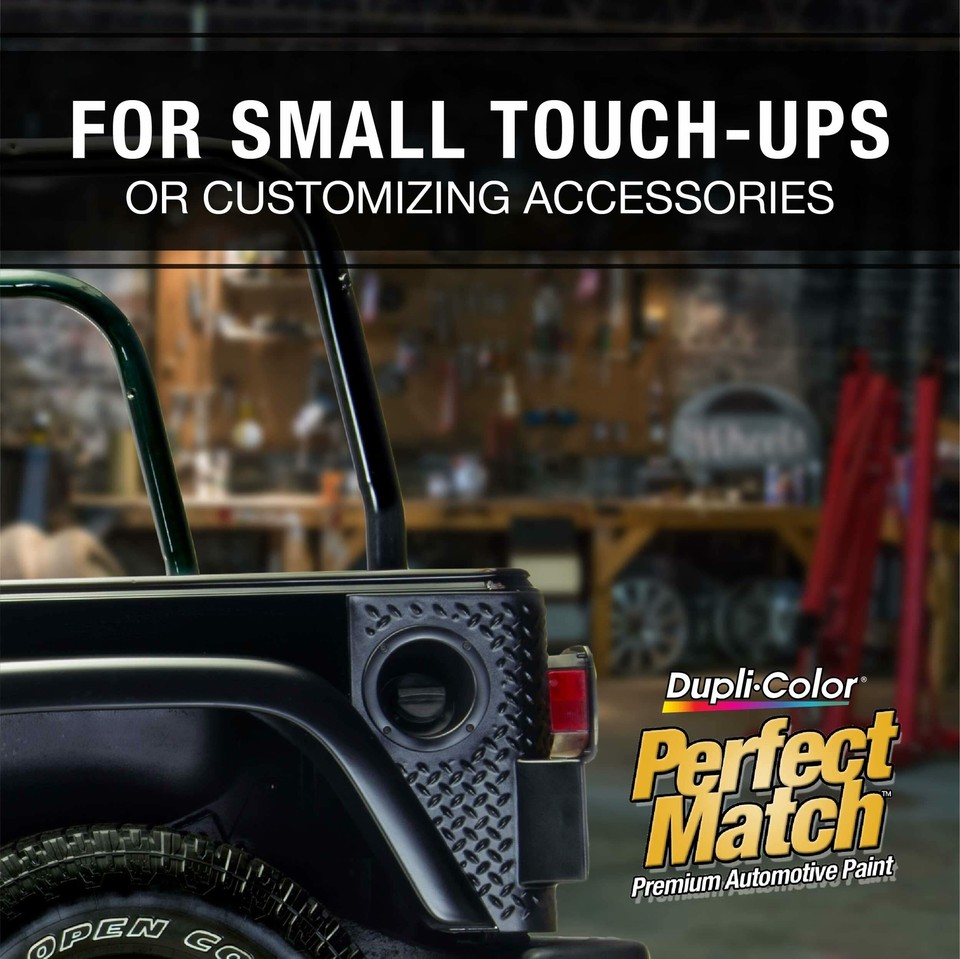 Dupli-Color Perfect Match Automotive Spray Paint Ford Ingot Silver ...