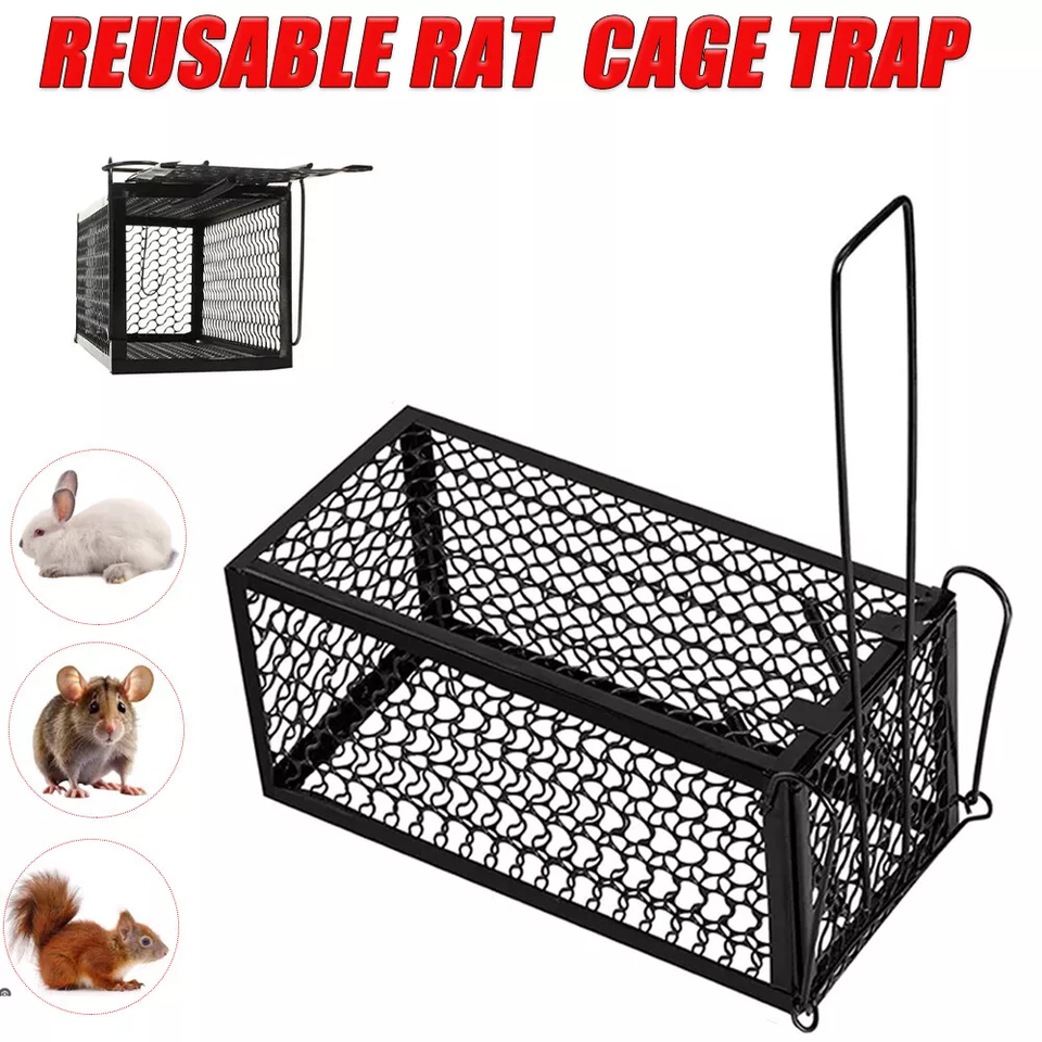 Rat Mouse Trap Catcher Humane Live Animal Pest Rodent Mice Vermin Bait ...