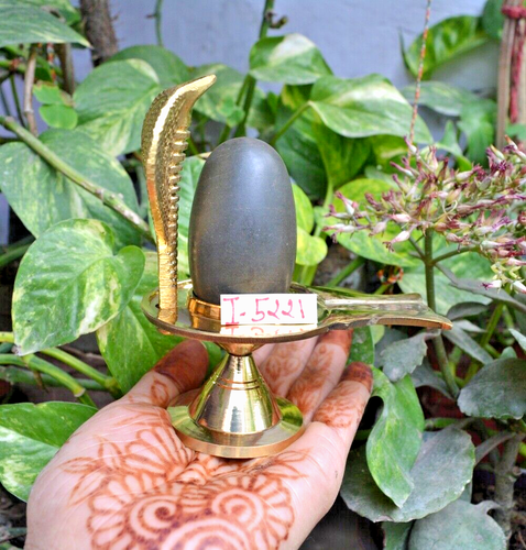 Brahmandeshwar Narmadeshwaram Shivlingam With Brass Snake Yoni Base | eBay