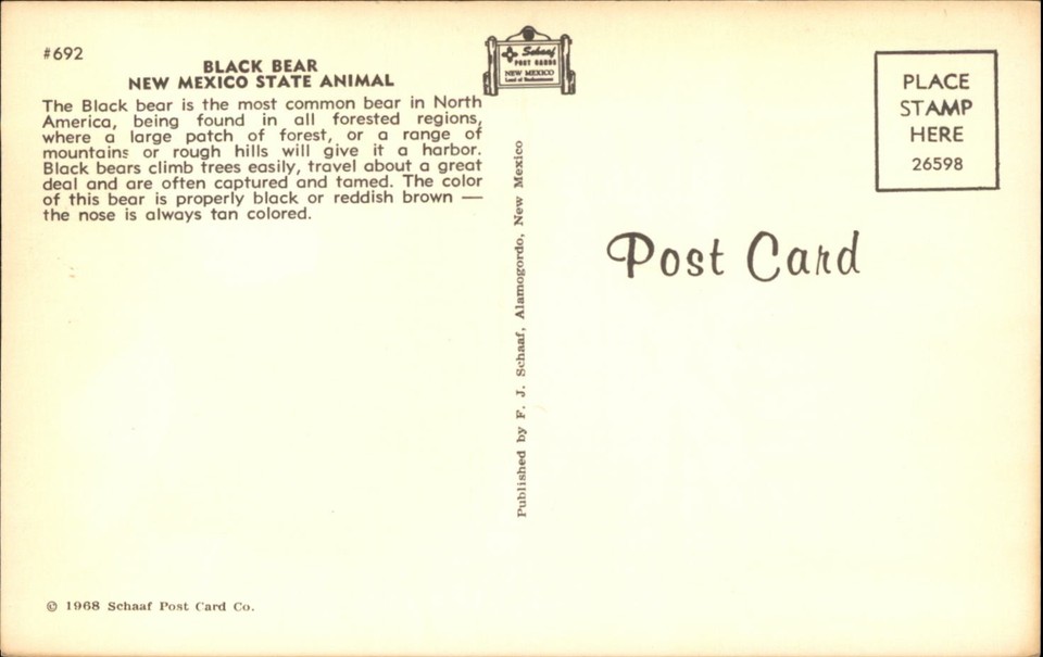 New Mexico State Animal Black Bear vintage postcard v778 | eBay