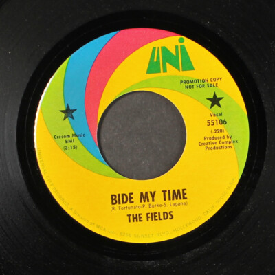 FIELDS: bide my time / take my home UNI 7" Single 45 RPM | eBay