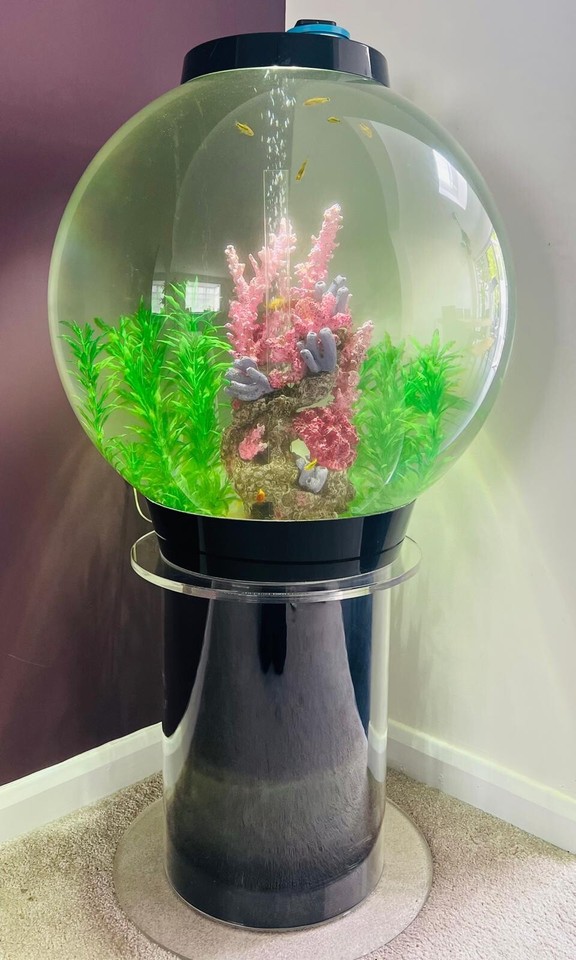 biOrb Classic 105 Black MCR LED Aquarium & Stand 105L Fish Tank Oase ...