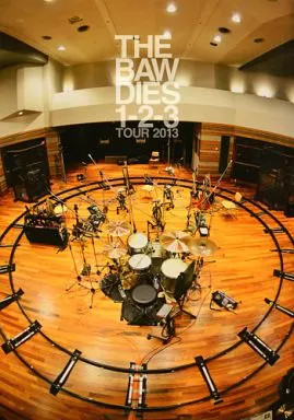 Booklet Tour Book Live Concert Pamphlet The Bawdies 1-2-3 | eBay