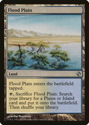 Flood Plain Venser vs. Koth NM Land Uncommon MAGIC THE GATHERING CARD ...