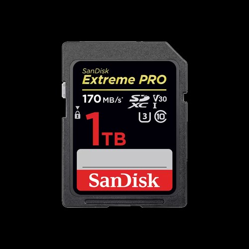 SanDisk 1TB Extreme PRO SDHC And SDXC UHS-I Card - SDSDXXY-1T00-GN4IN ...
