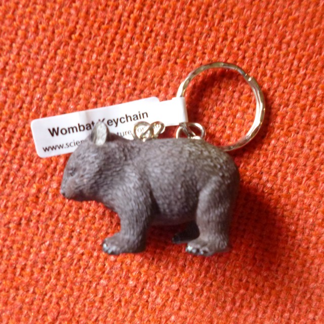 Wombat Australian Animal Souvenir Gift Keychain Key Ring Size 45mm for ...
