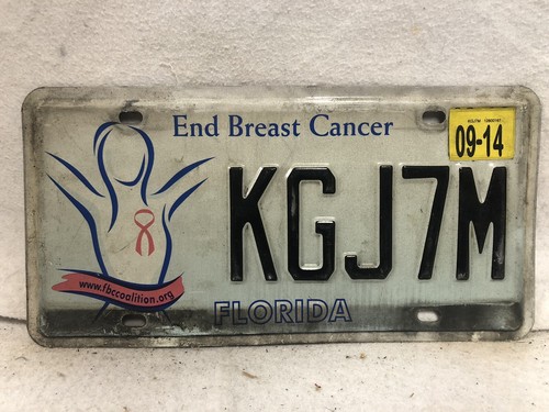 2014 Florida Breast Cancer License Plate | eBay