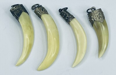 Vintage Boars Teeth Tusk Pendant Sterling Silver Mount Victorian Lot Of ...