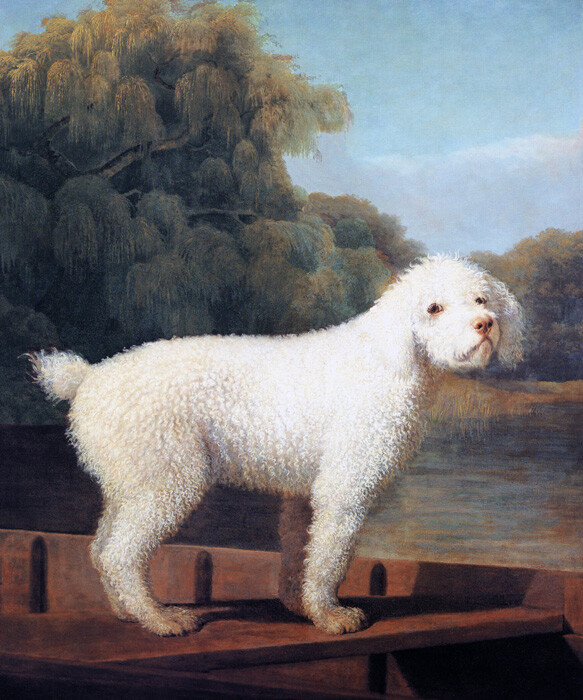DOG WHITE POODLE IN A PUNT PAINTING ART BY GEORGE STUBBS REPRO | eBay