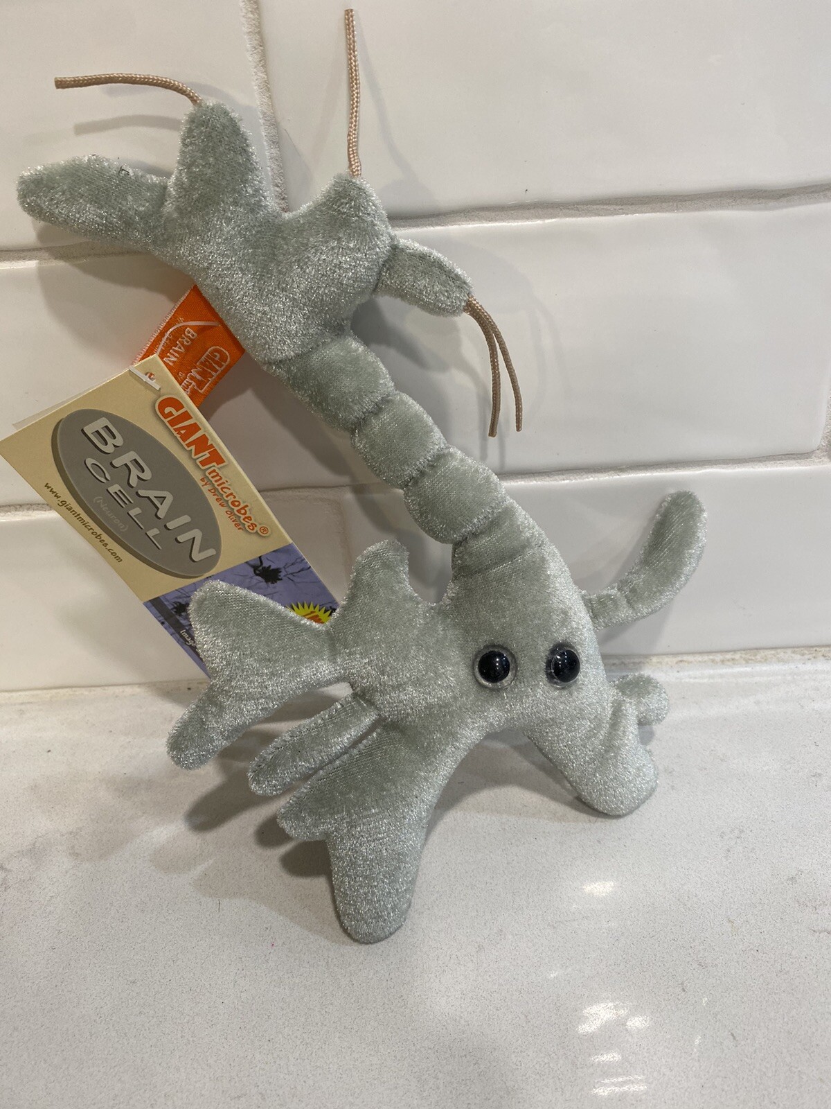 Giant Microbes Brain Cell Neuron Plush Giantmicrobes By Drew Oliver 9.5 ...