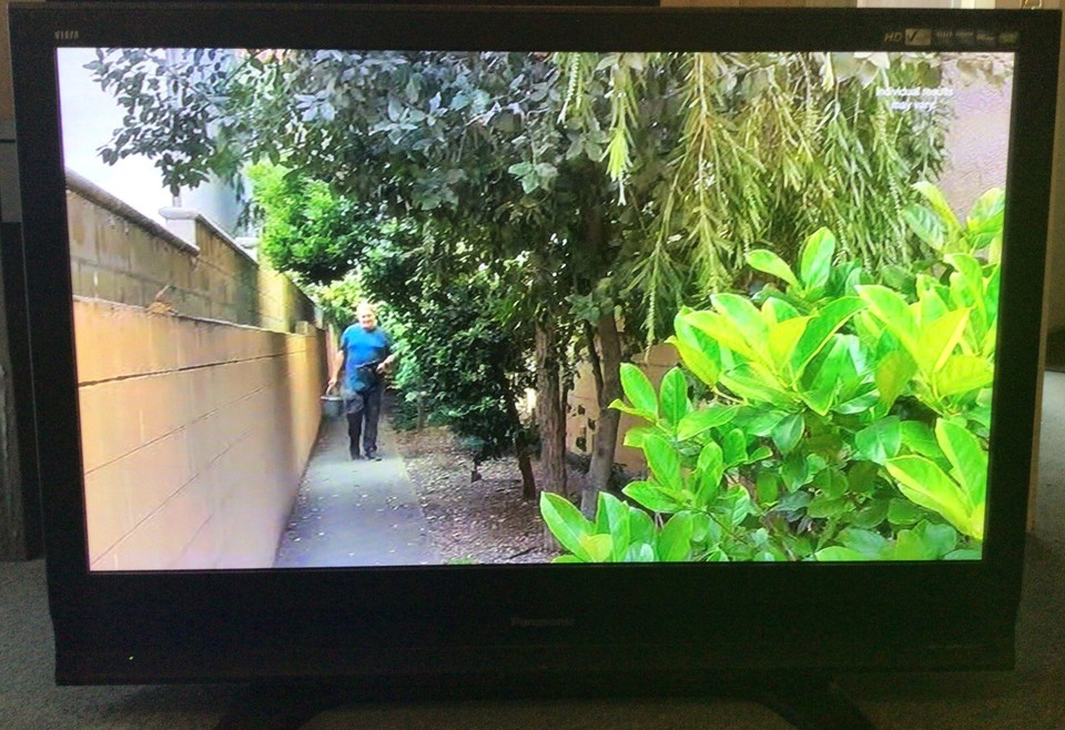 Panasonic VIERA Plasma TV, 50 inch model TH-50PX70A, includes remote ...